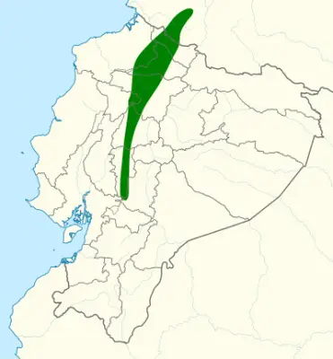 Plate-billed mountain toucan - Facts, Diet, Habitat & Pictures on ...