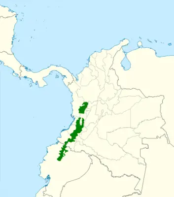 Toucan barbet - Facts, Diet, Habitat & Pictures on Animalia.bio