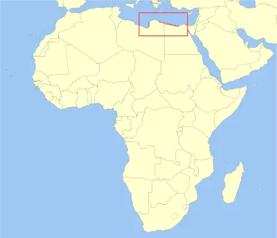 Allactaga tetradactyla - Facts, Diet, Habitat & Pictures on Animalia.bio