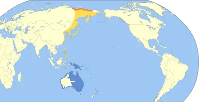 Sharp-tailed sandpiper - Facts, Diet, Habitat & Pictures on Animalia.bio