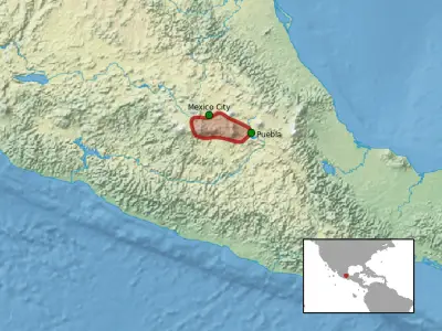 Merriam's pocket gopher - Facts, Diet, Habitat & Pictures on Animalia.bio