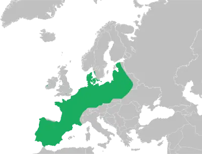 Natterjack toad - Facts, Diet, Habitat & Pictures on Animalia.bio