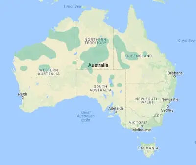 Painted finch - Facts, Diet, Habitat & Pictures on Animalia.bio