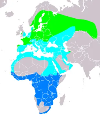 European honey buzzard - Facts, Diet, Habitat & Pictures on Animalia.bio
