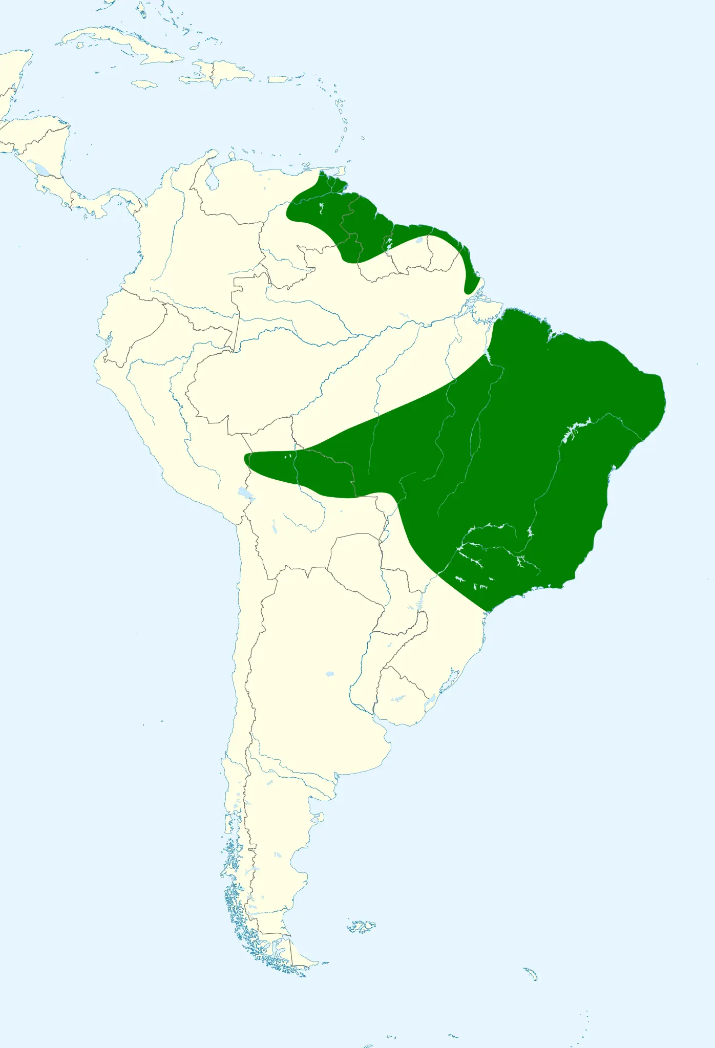 Diopsittaca nobilis - Facts, Diet, Habitat & Pictures on Animalia.bio