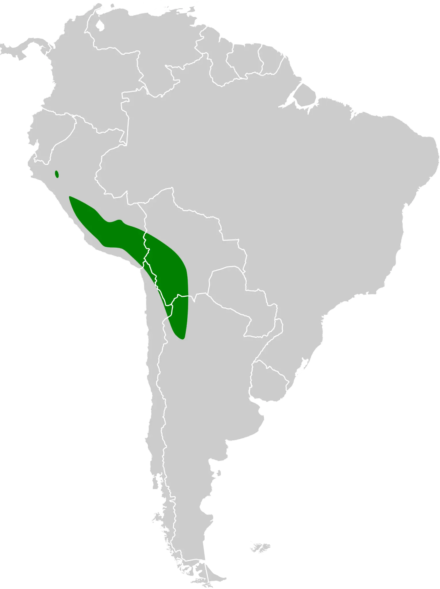 Spatula puna - факти, дієта, ареал і фотографії на Animalia.bio