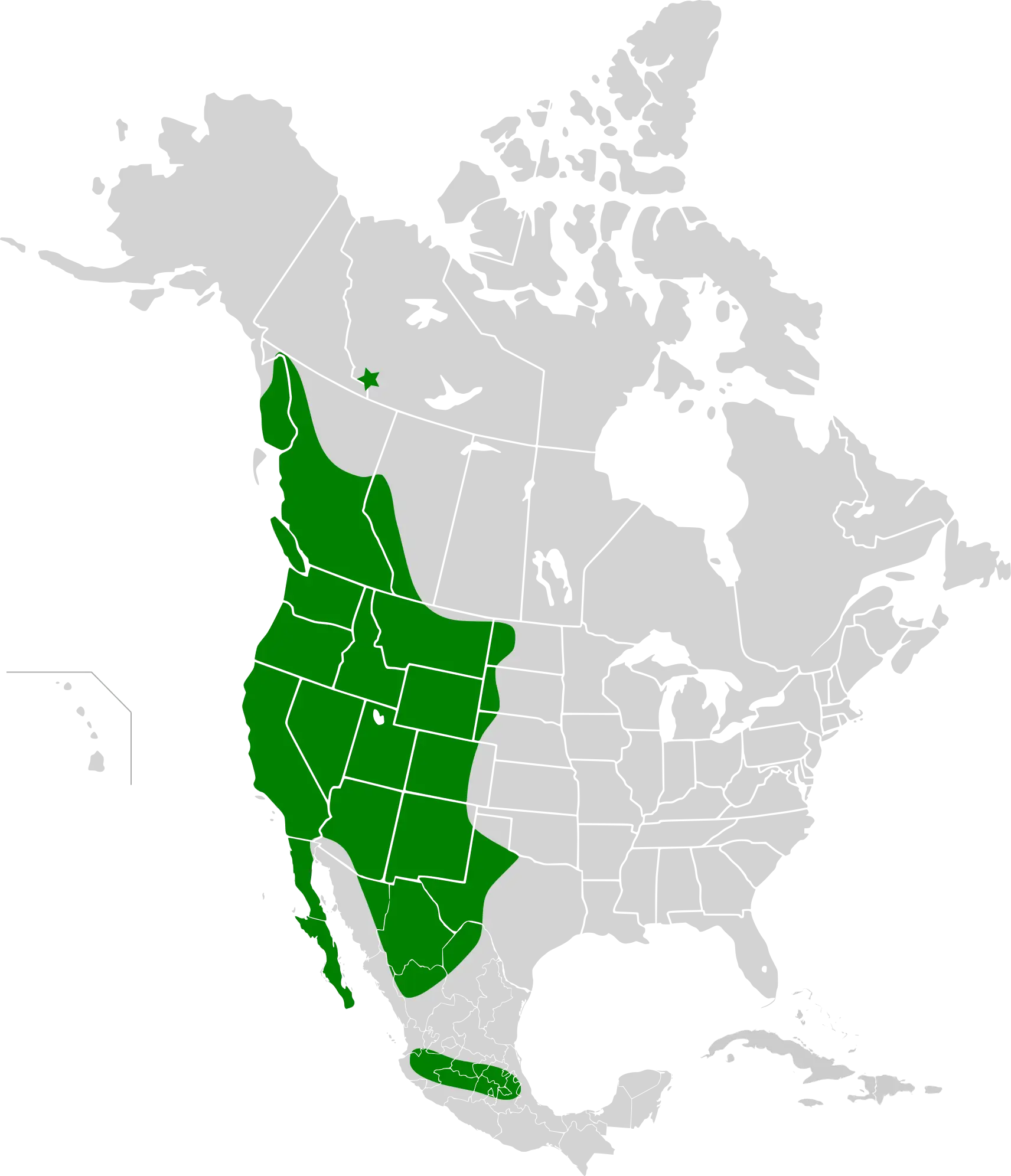 Myotis volans - факти, дієта, ареал і фотографії на Animalia.bio