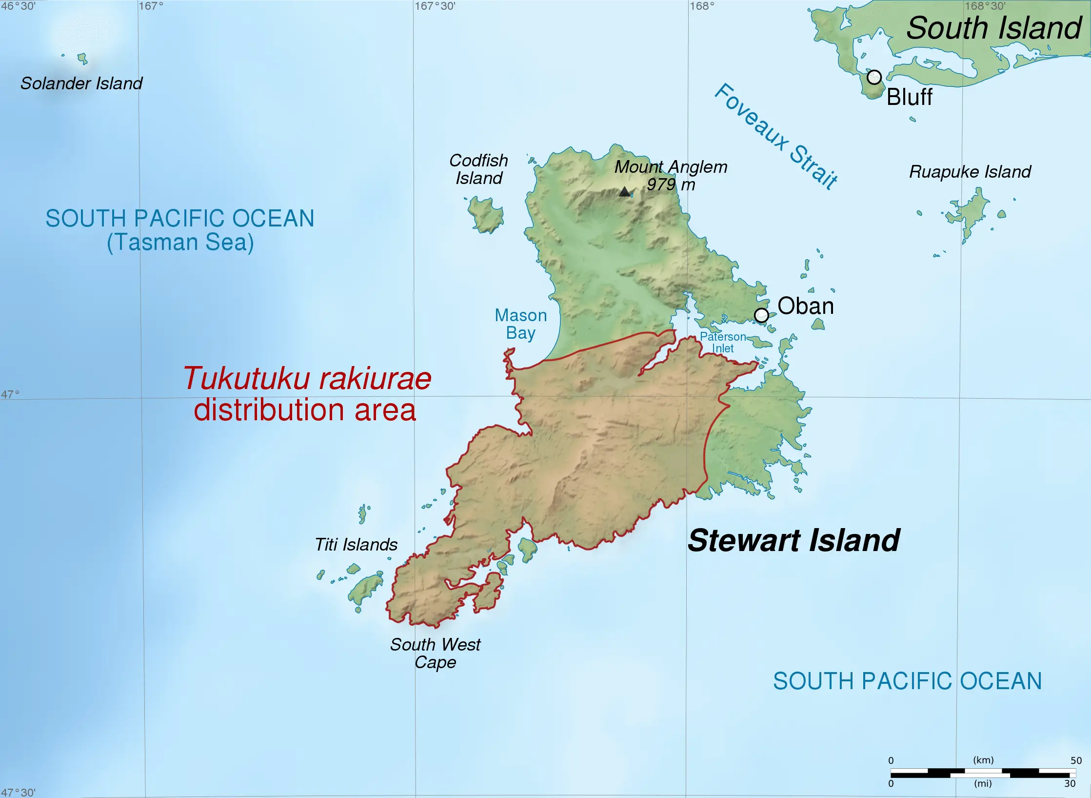 Tukutuku rakiurae - факти, дієта, ареал і фотографії на Animalia.bio