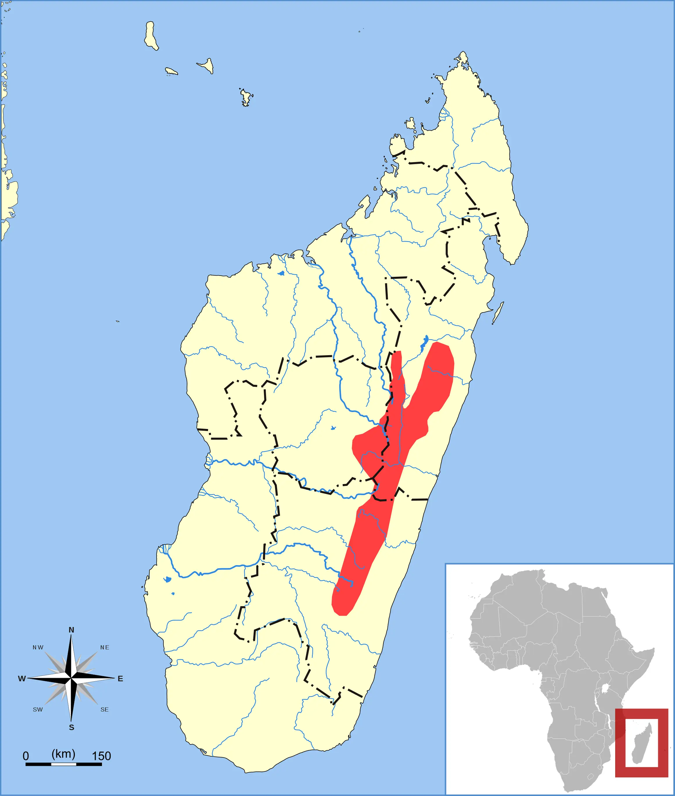 Betsileo short-tailed rat - Facts, Diet, Habitat & Pictures on Animalia.bio