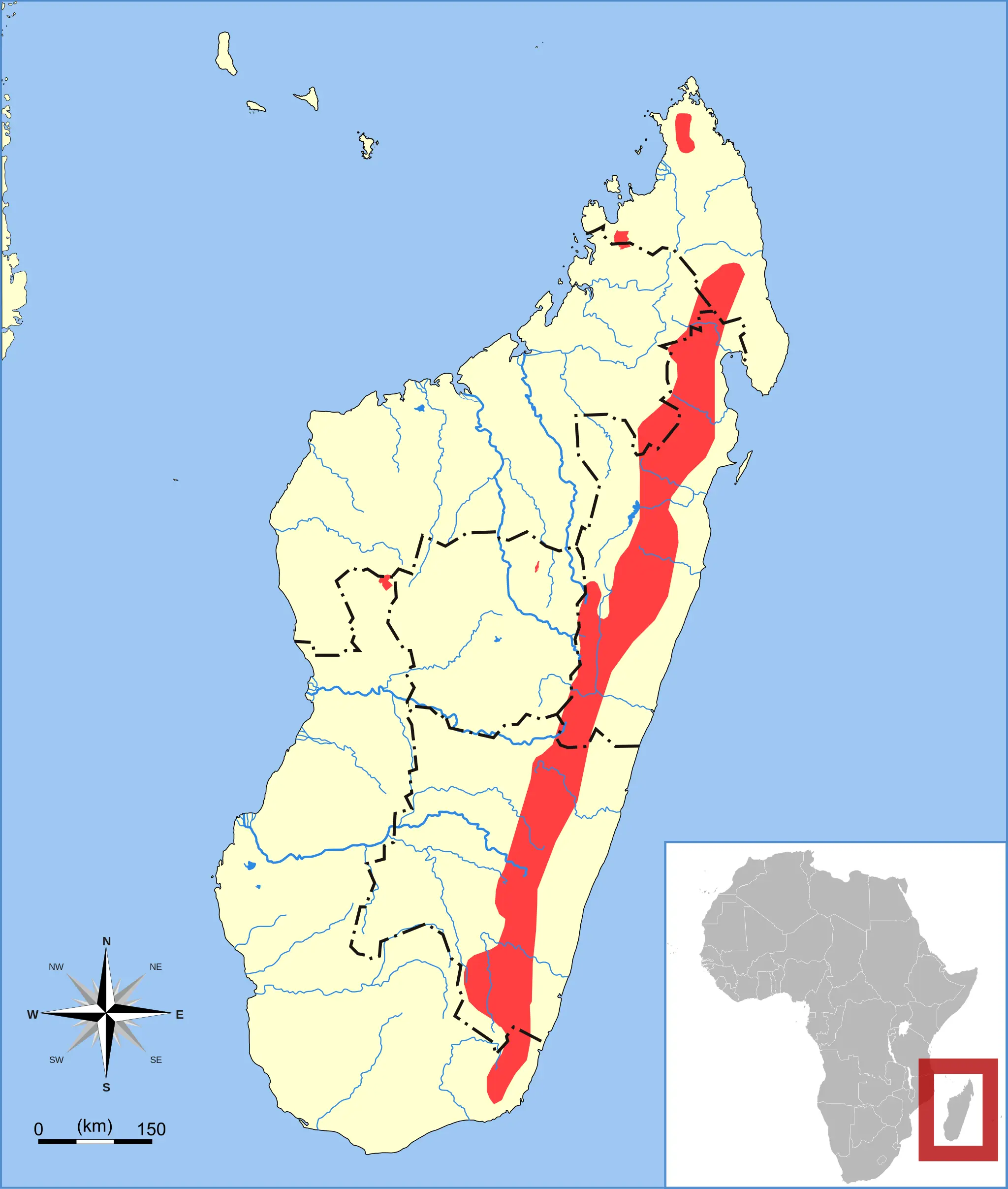 Eliurus majori - факти, дієта, ареал і фотографії на Animalia.bio