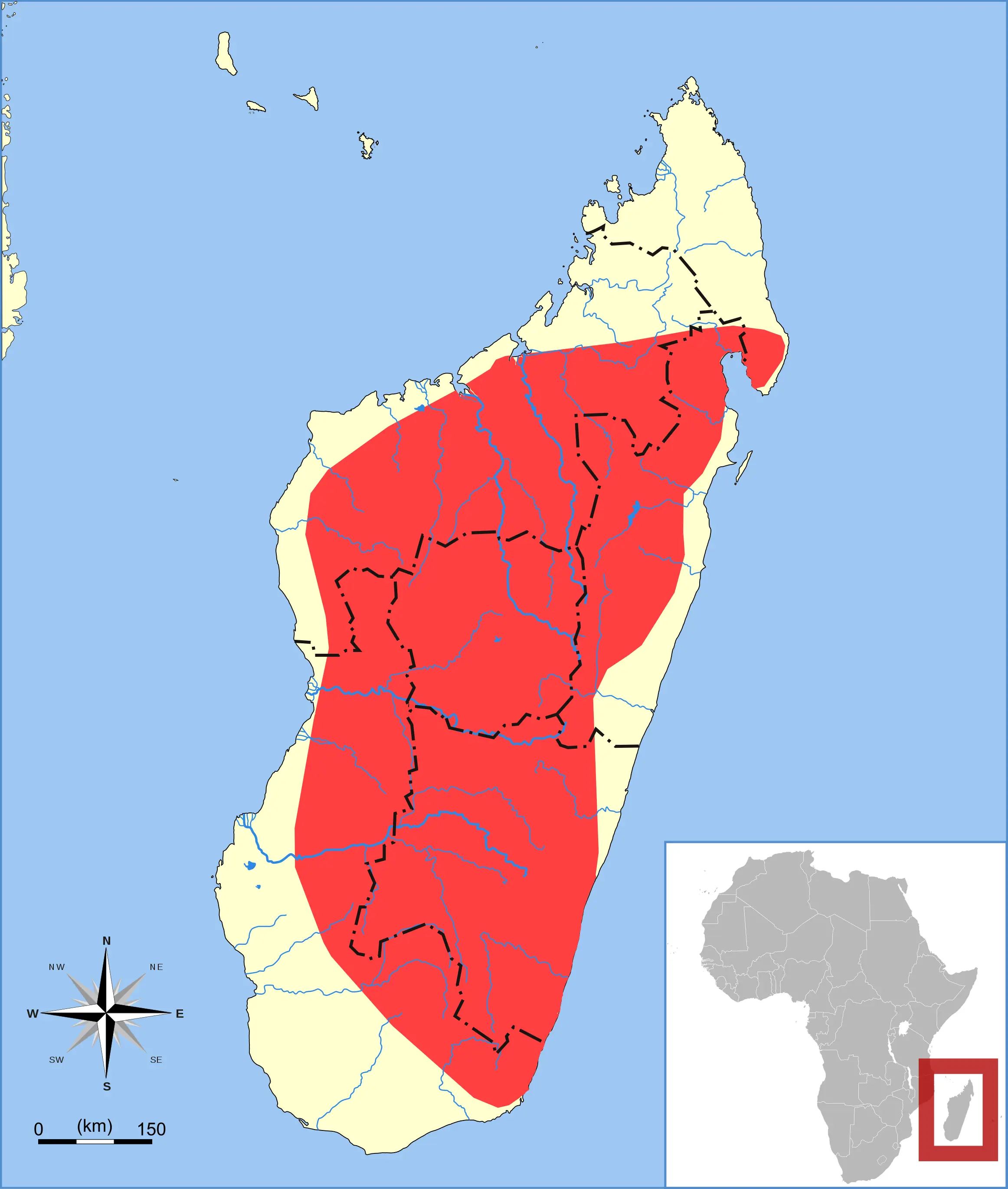 Scotophilus robustus - факти, дієта, ареал і фотографії на Animalia.bio