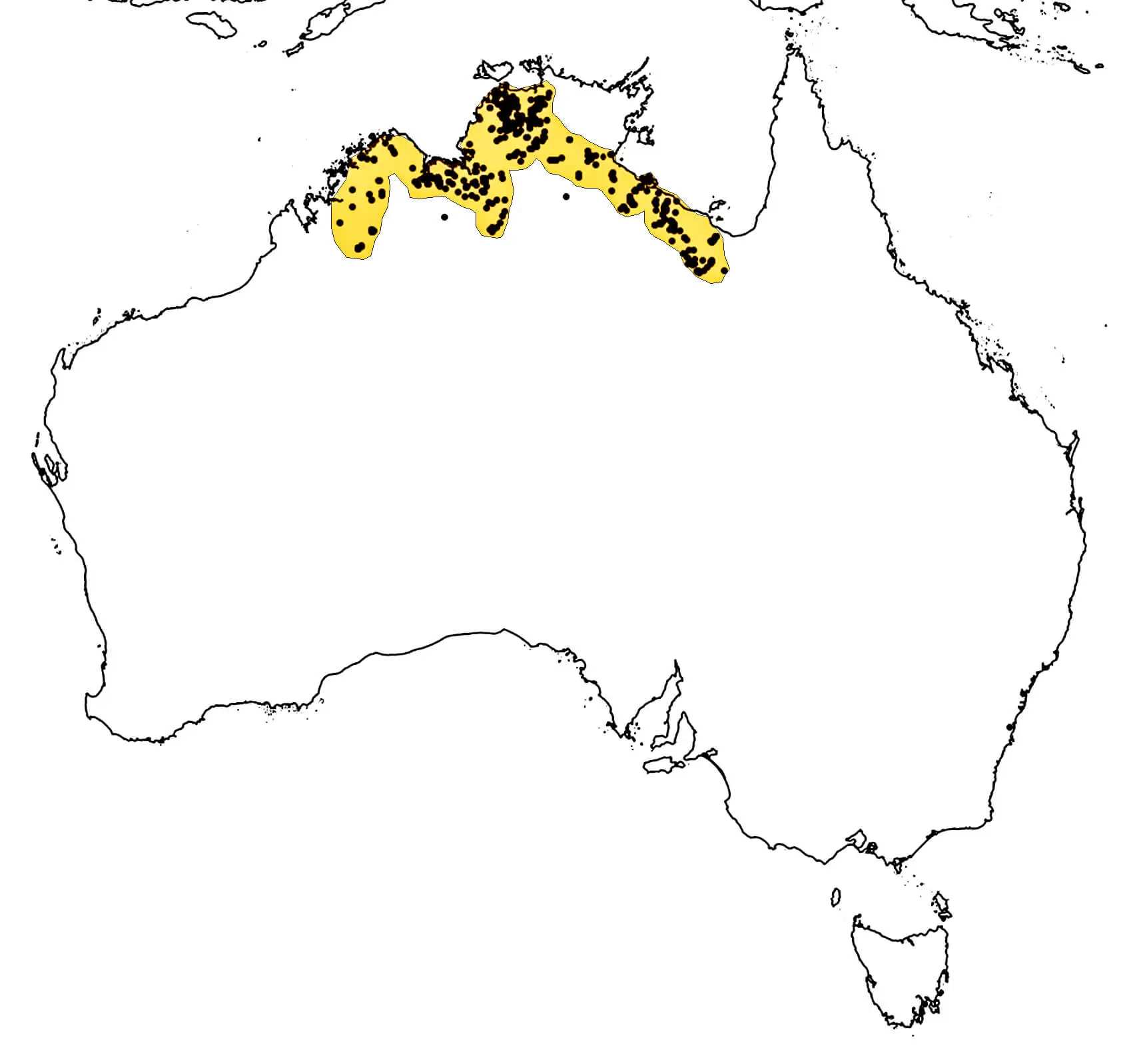 Poecilodryas cerviniventris - Fakten, Ernährung, Lebensraum & Bilder ...