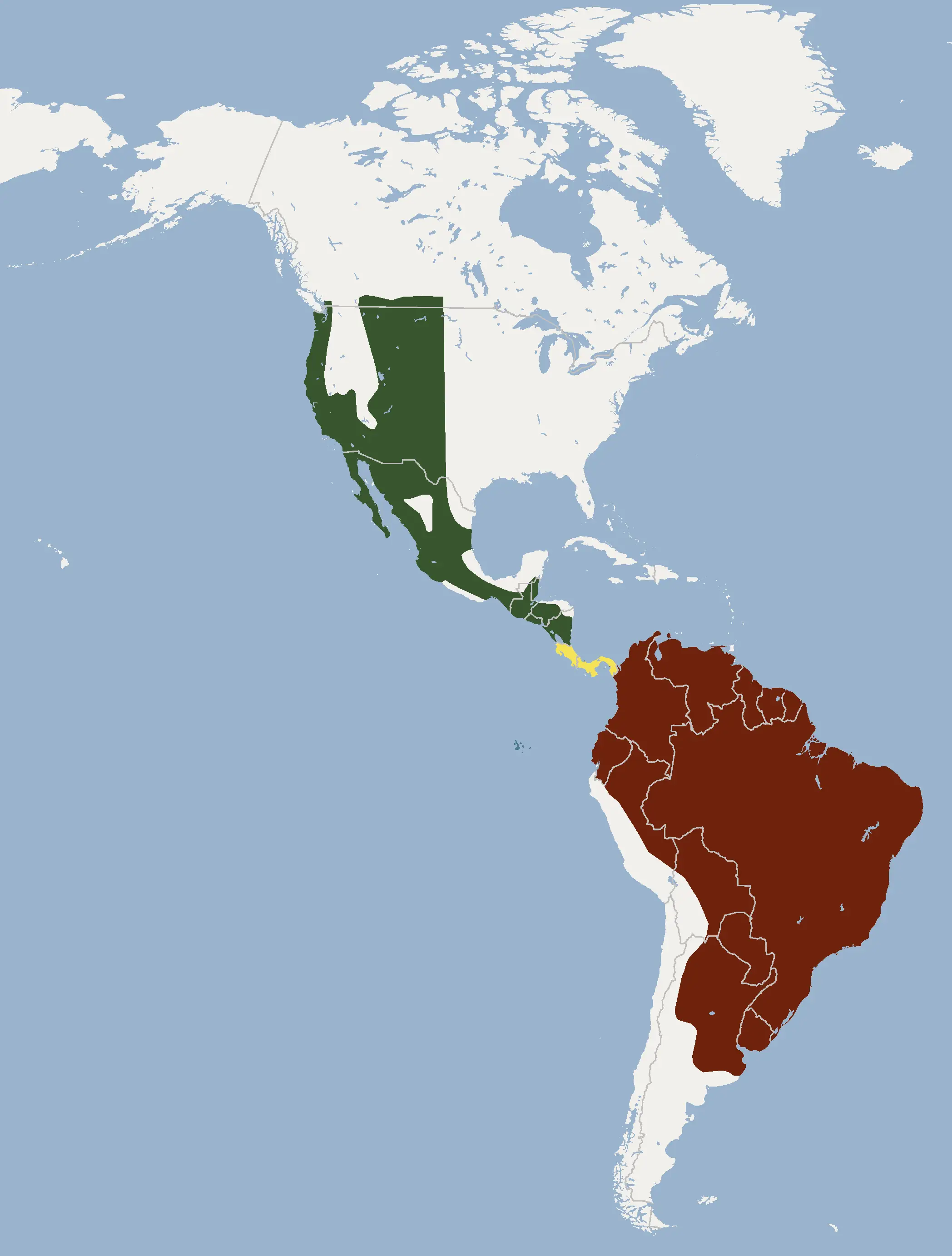 Lasiurus blossevillii - Facts, Diet, Habitat & Pictures on Animalia.bio