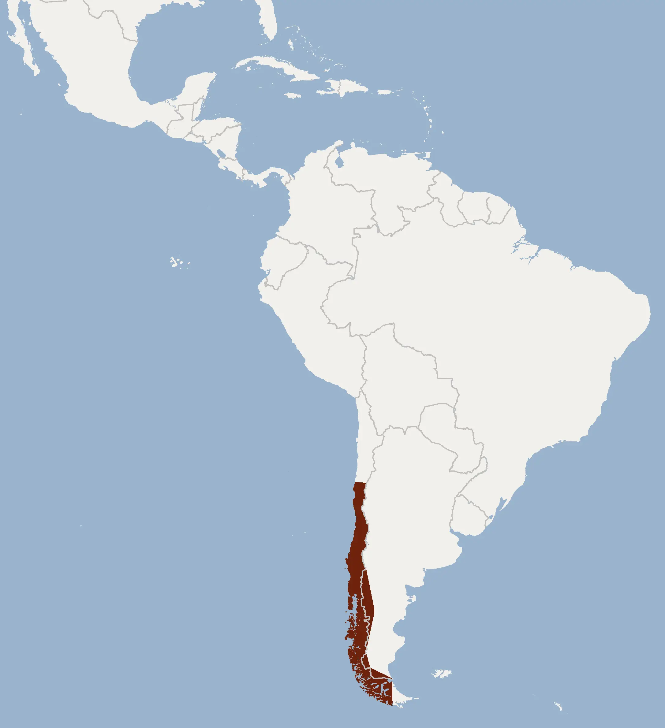 Lasiurus varius - факти, дієта, ареал і фотографії на Animalia.bio