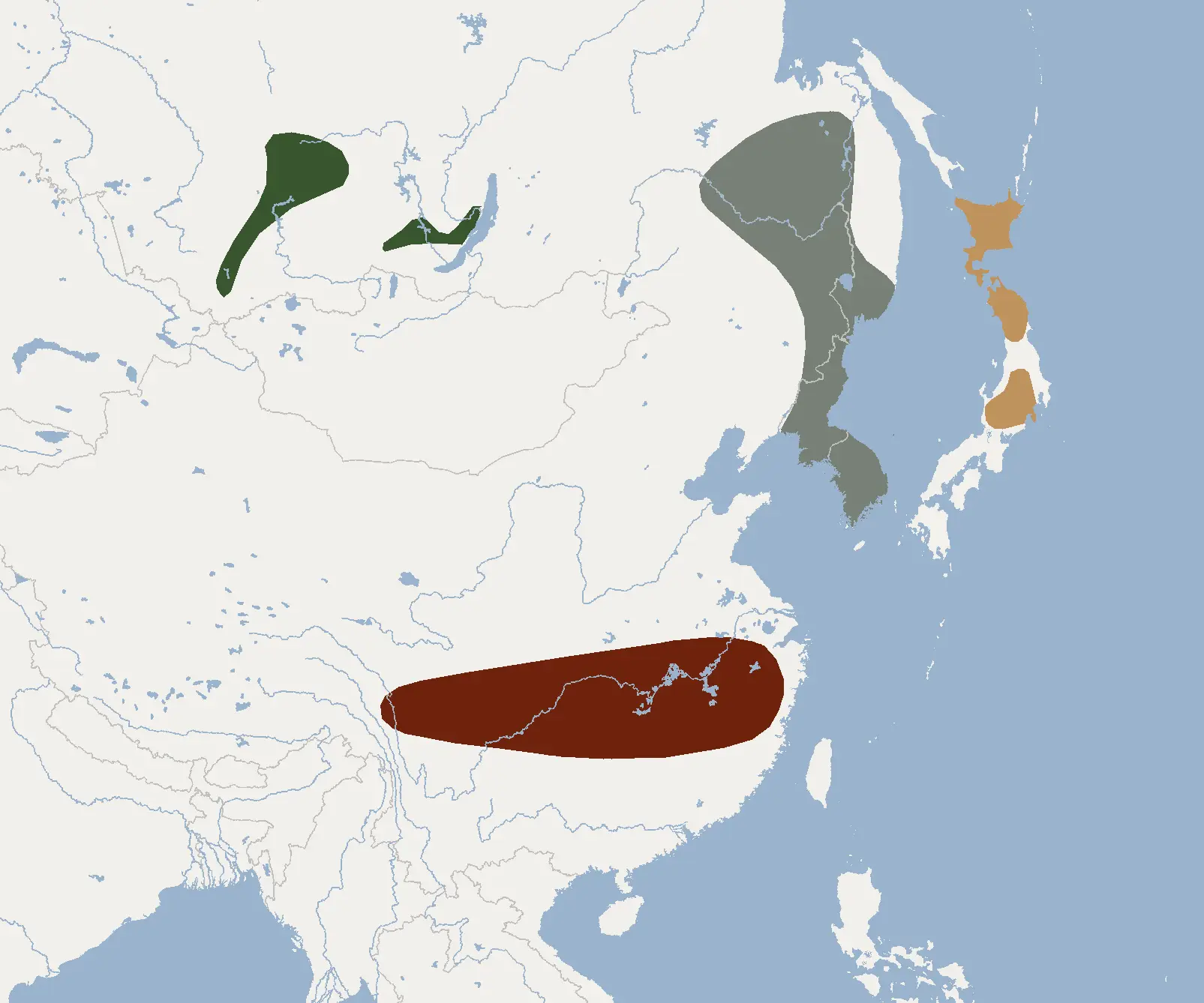 Myotis frater - факти, дієта, ареал і фотографії на Animalia.bio