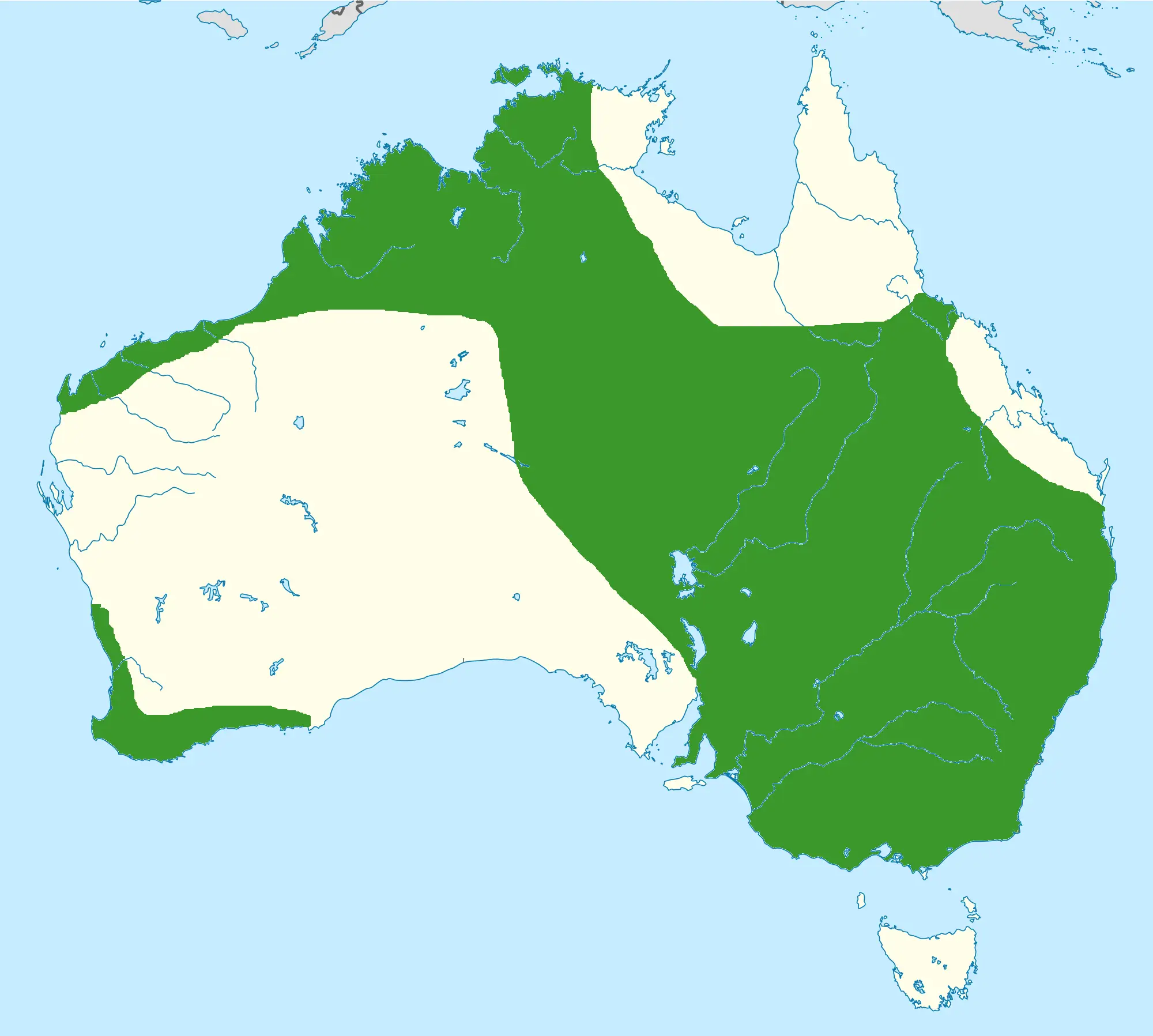 Elanus scriptus - Facts, Diet, Habitat & Pictures on Animalia.bio