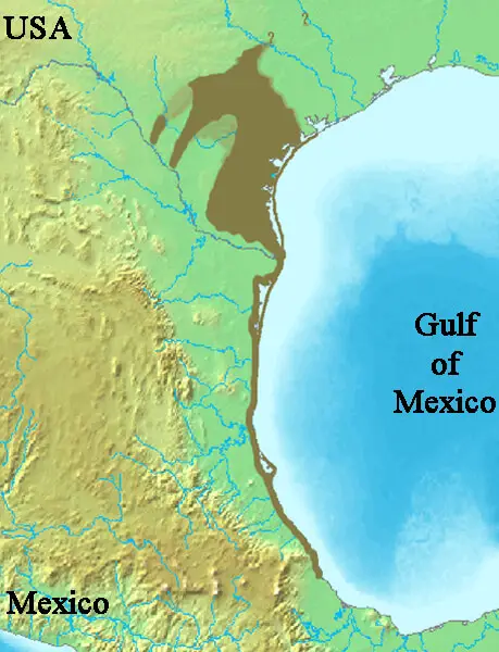 Holbrookia propinqua - факти, дієта, ареал і фотографії на Animalia.bio