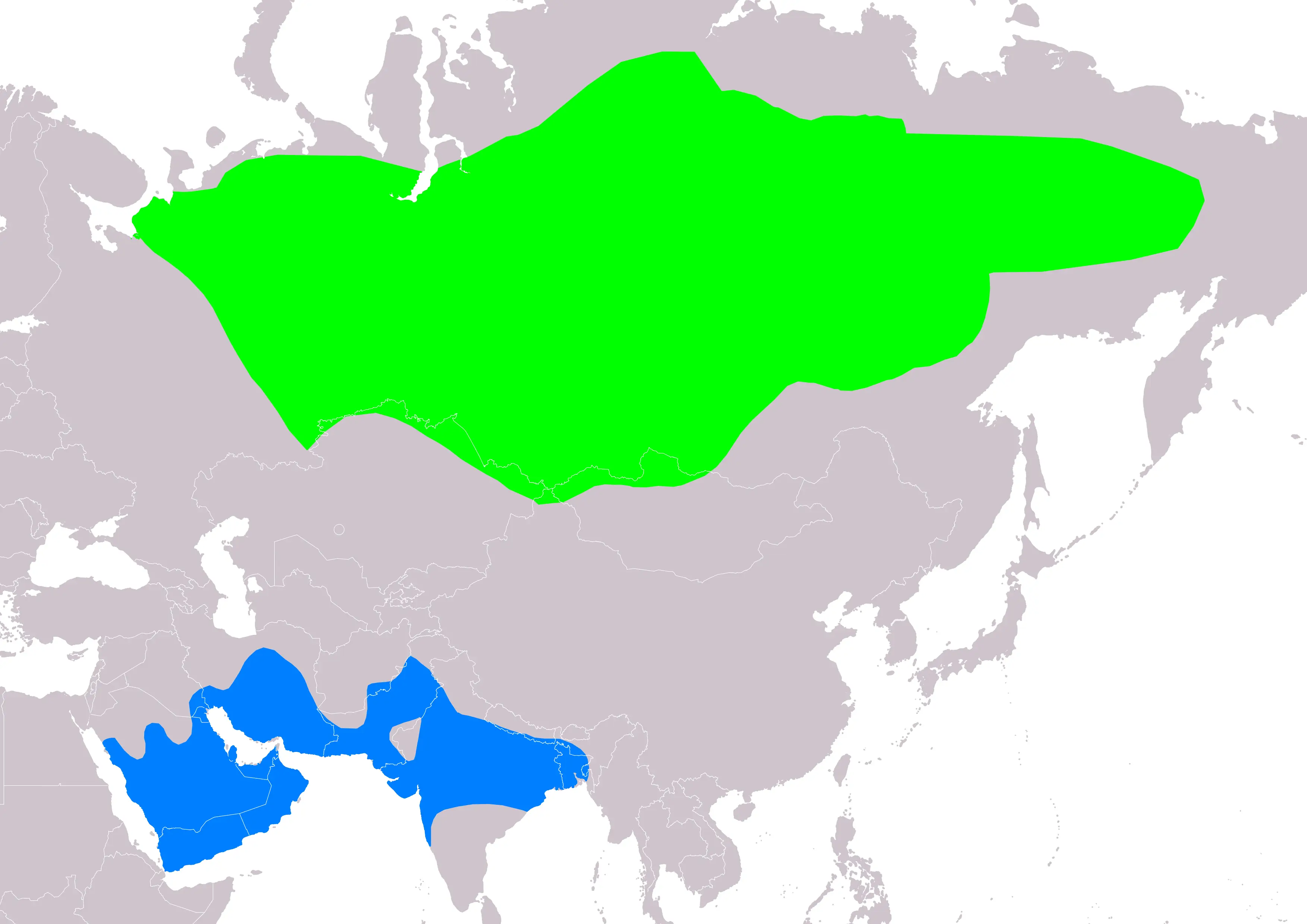 Phylloscopus collybita tristis - факти, дієта, ареал і фотографії на ...