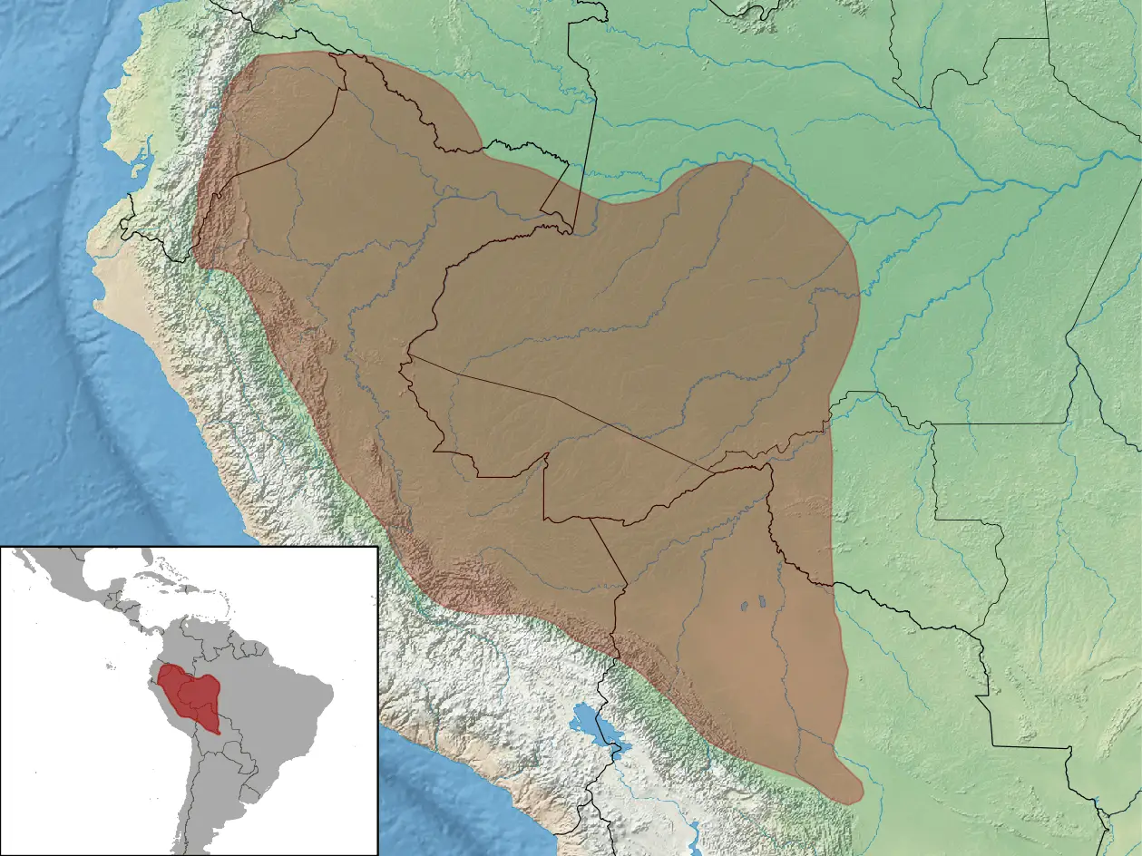 Proechimys simonsi - факти, дієта, ареал і фотографії на Animalia.bio