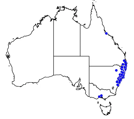 Triboniophorus graeffei - факти, дієта, ареал і фотографії на Animalia.bio