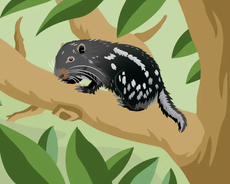 Pacarana - Facts, Diet, Habitat & Pictures on Animalia.bio