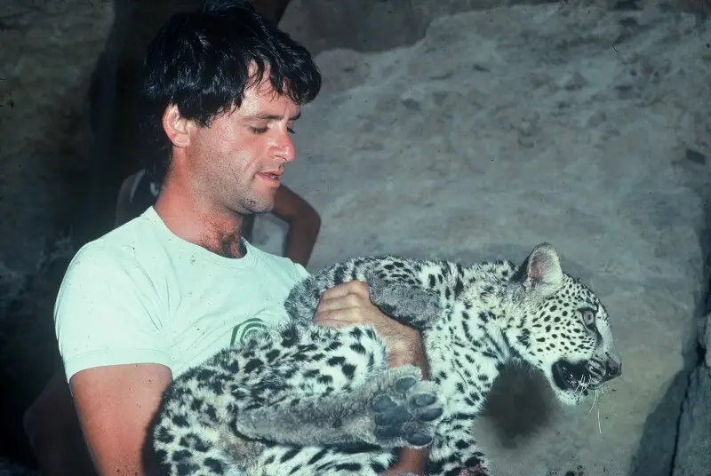 Arabian leopard - Facts, Diet, Habitat & Pictures on Animalia.bio